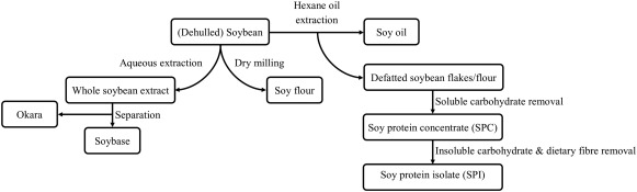 How do you extract protein from soybeans?