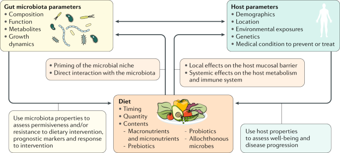 How do you feed microbiota?