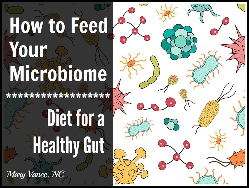 How do you feed the microbiome?