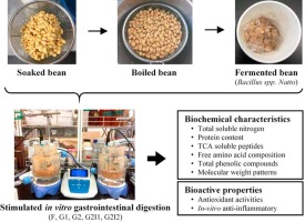 How do you ferment soy protein?