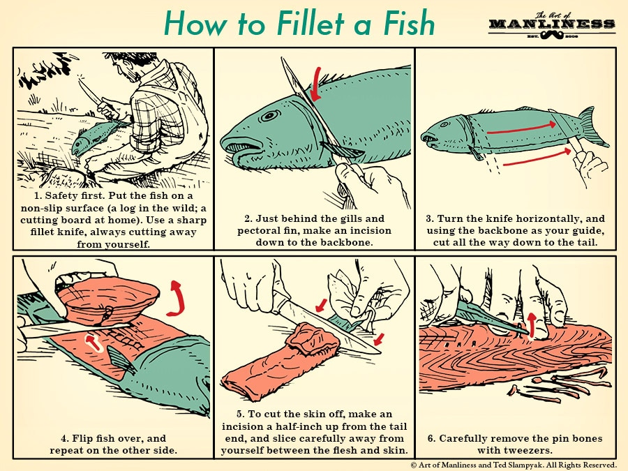 How do you fillet a fish in 6 steps?