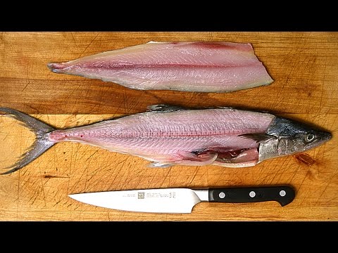 How do you fillet a fish?