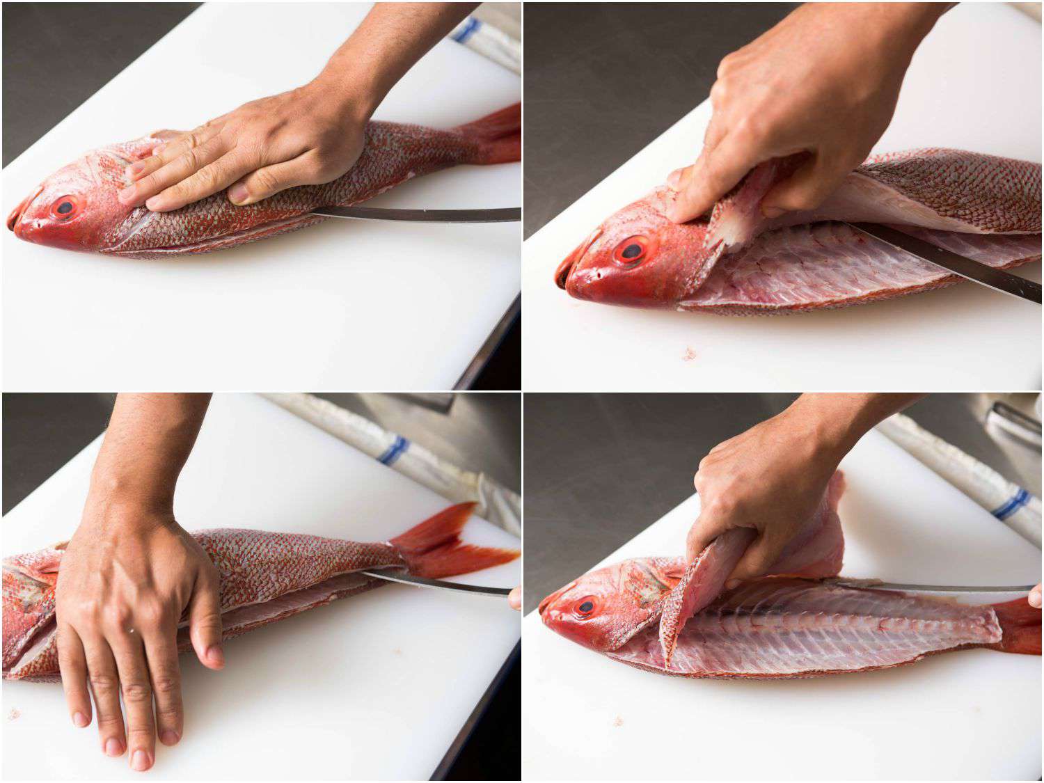 How do you fillet fish in 6 steps?