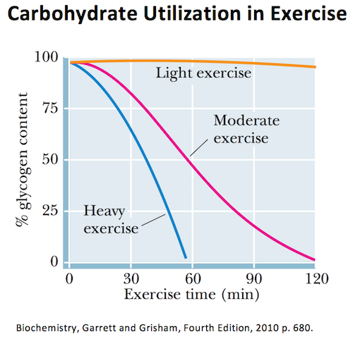 How do you fix glycogen depletion?