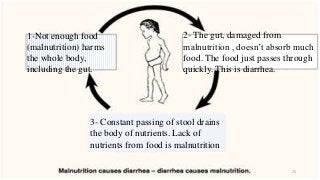 How do you fix malnutrition absorption?