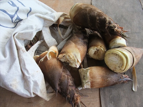 How do you freeze fresh bamboo shoots?