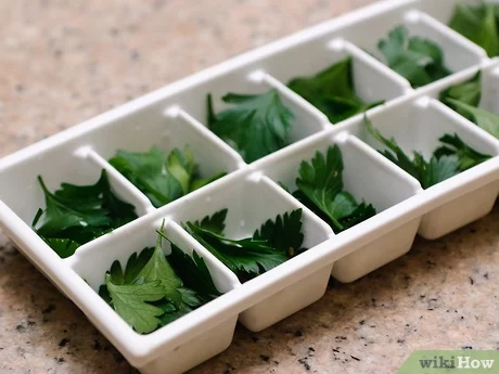 How do you freeze parsley and preserve it?