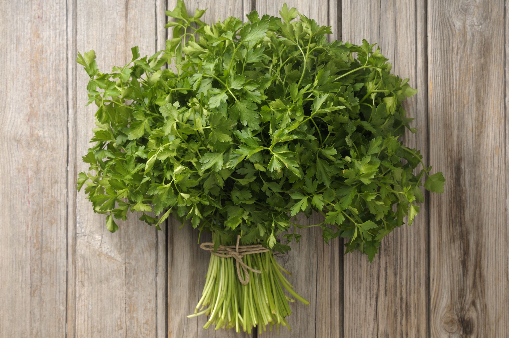 How do you freeze parsley leaves?