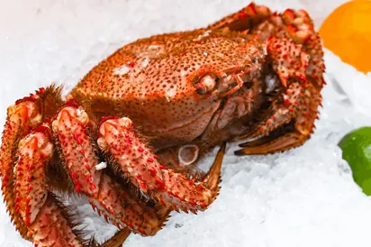 How do you freeze red crabs?