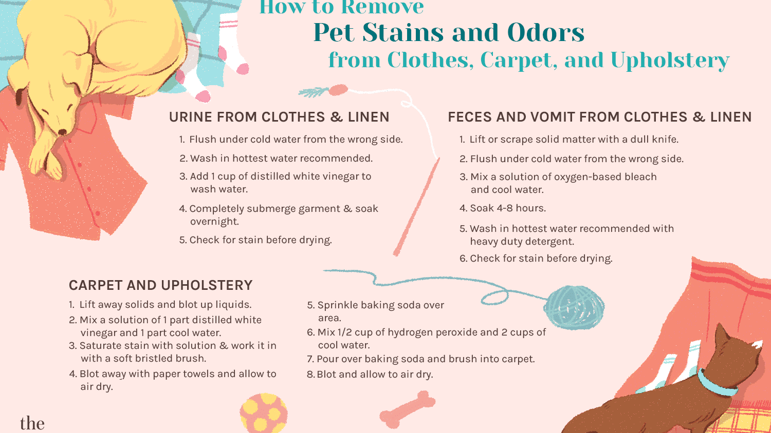 How do you get dog urine smell out of clothes?