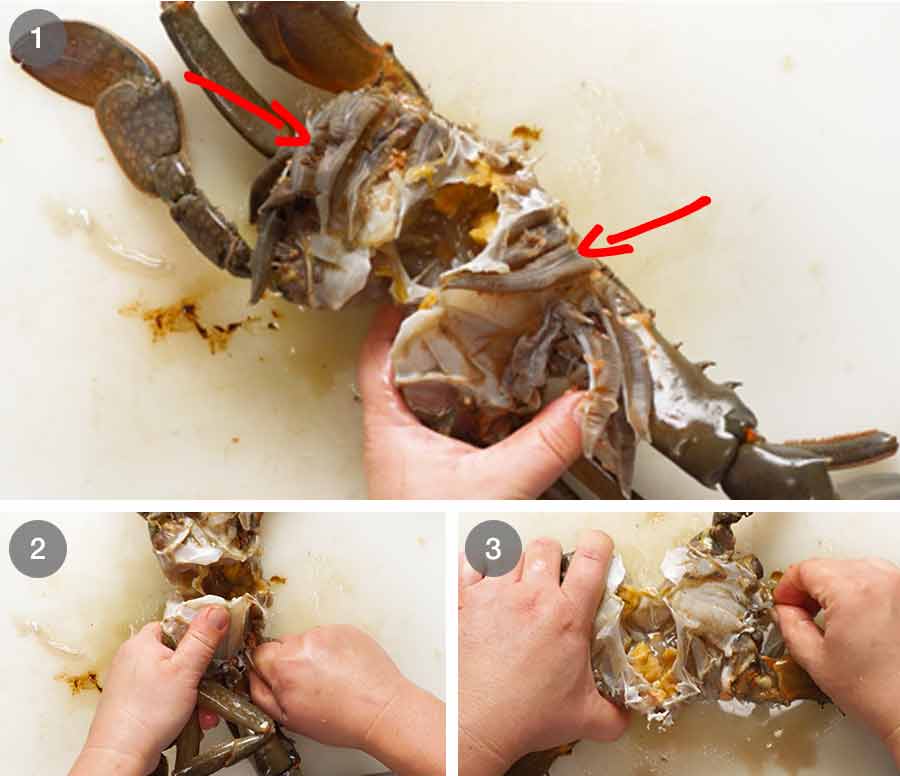 How do you get rid of a dead crab?