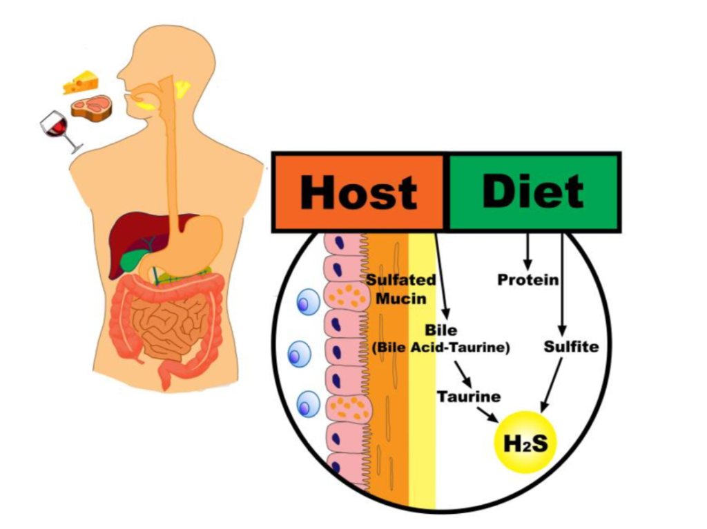 How do you get rid of hydrogen sulfide farts?