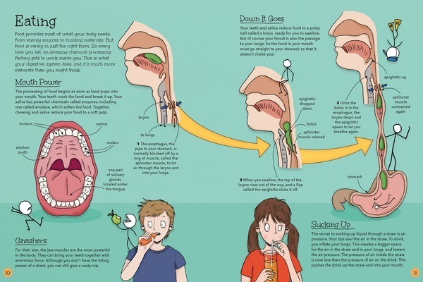 How do you get rid of intestinal gurgling?