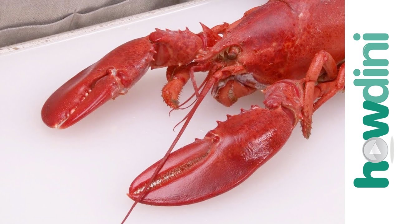 How do you get rid of lobsters at home?