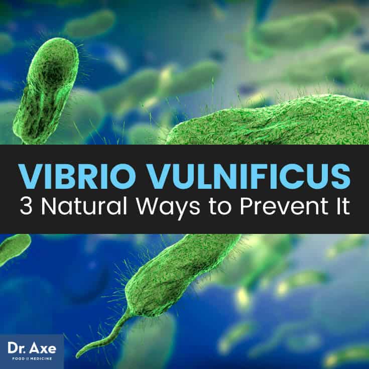 How do you get rid of Vibrio bacteria?