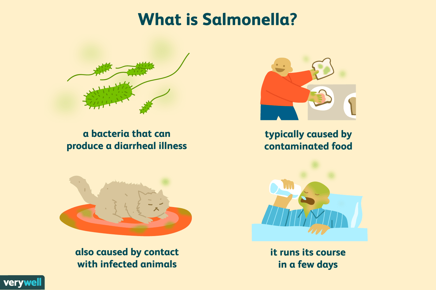 How do you get salmonella from produce?