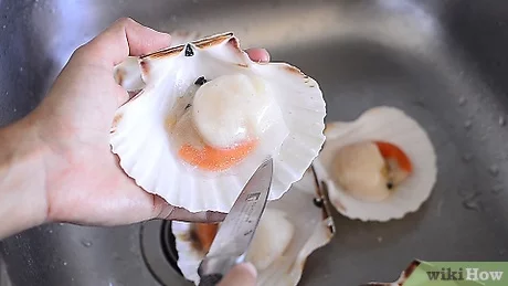 How do you get the water out of frozen scallops?