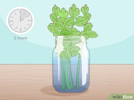 How do you grow parsley in a jar?