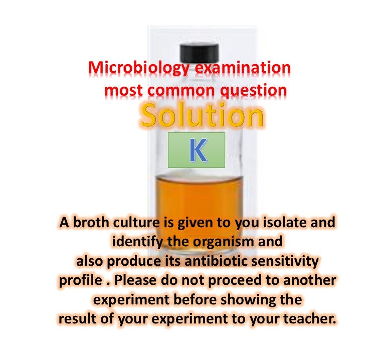 How do you identify bacteria in broth?