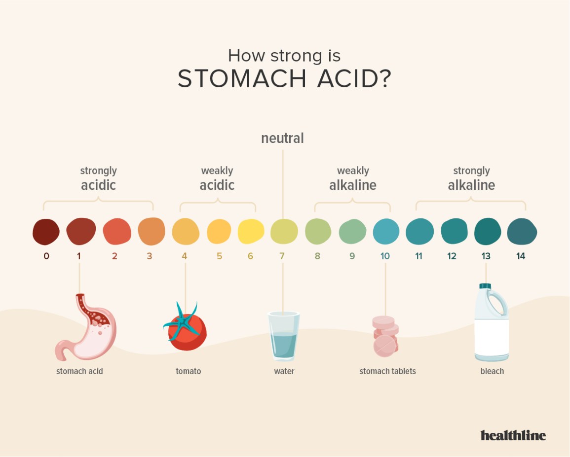 How do you increase stomach acid in elderly?