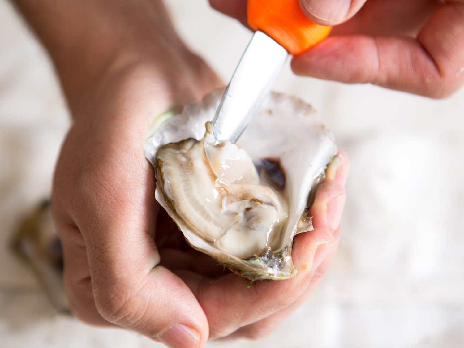 How do you inspect oysters?