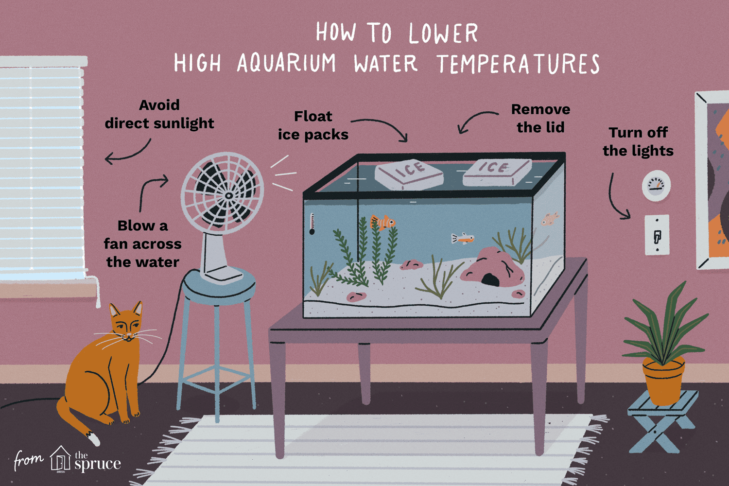 How do you keep a fish tank at a certain temperature?