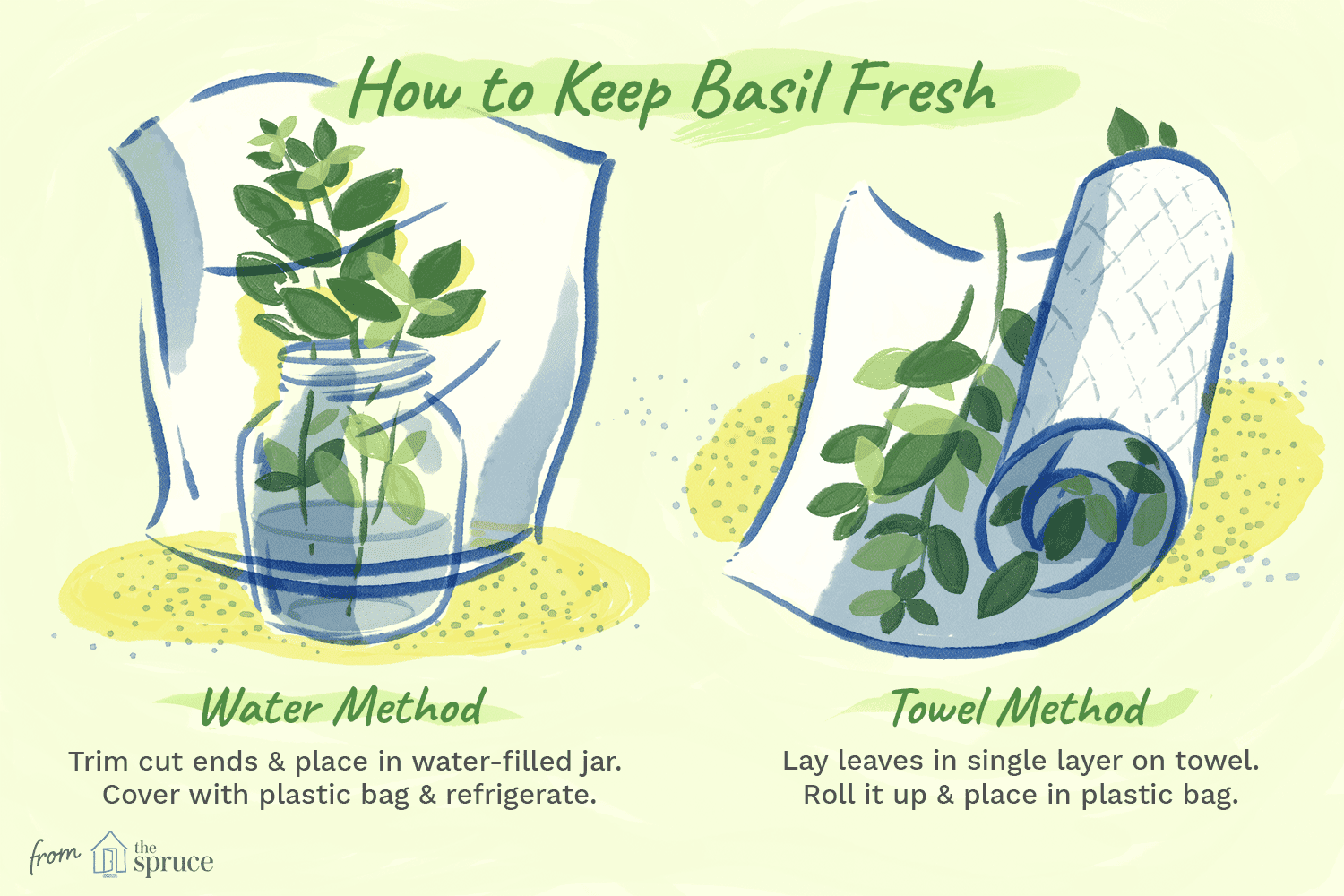 How do you keep basil fresh in the refrigerator?