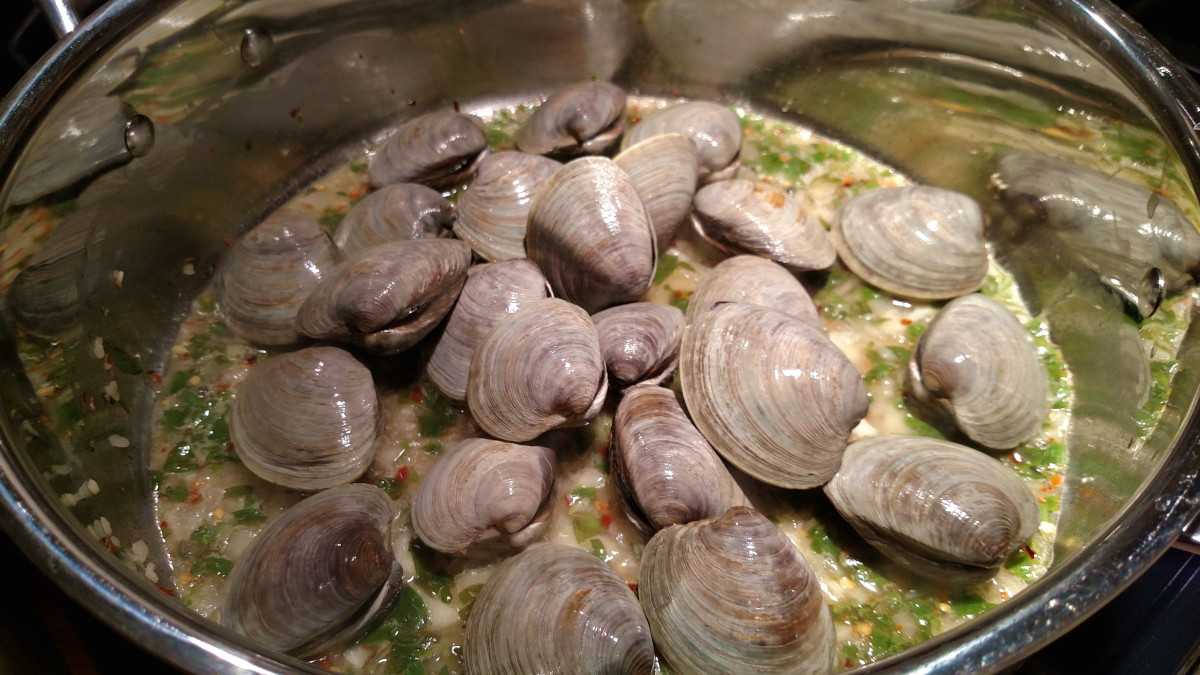 How do you keep clams alive overnight?