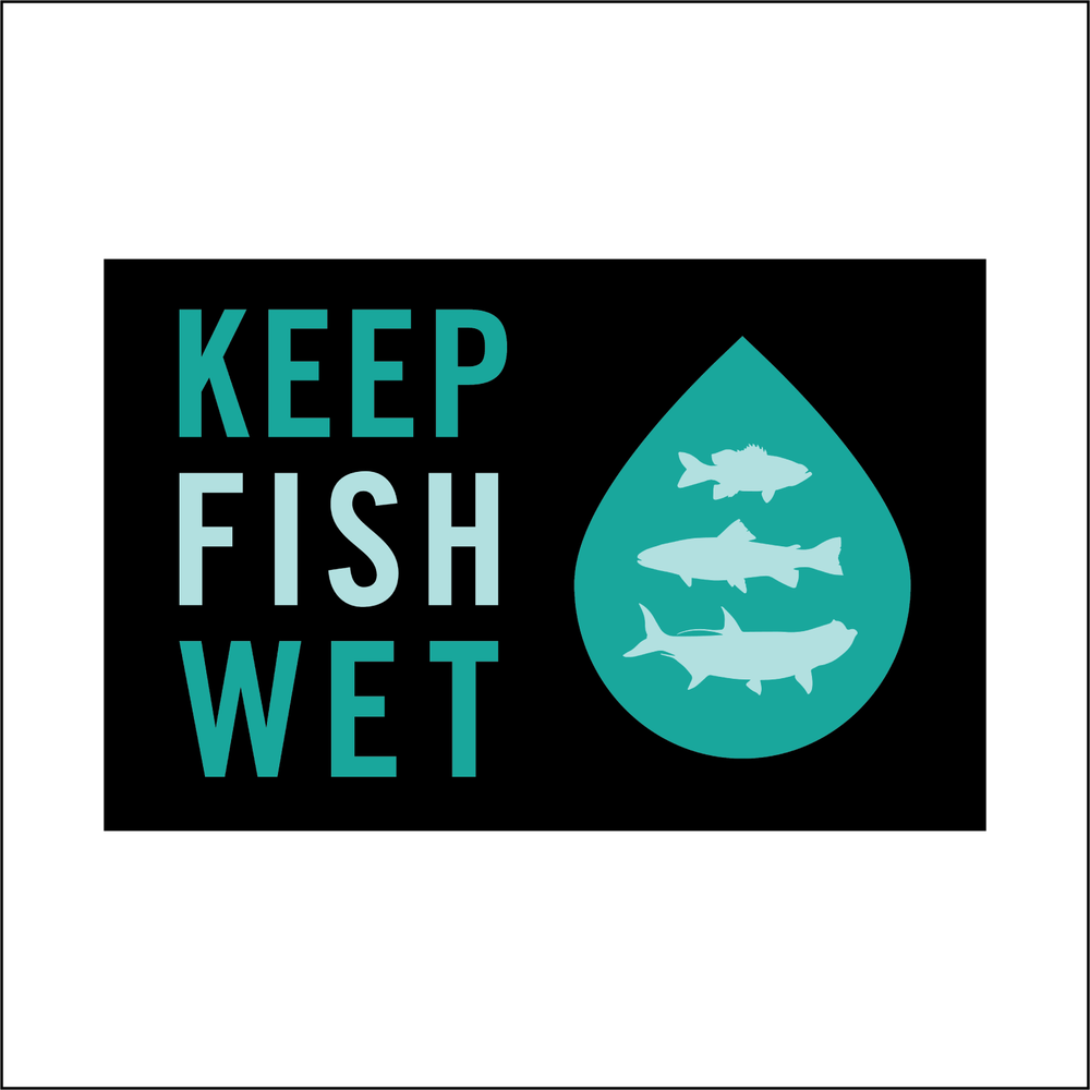 How do you keep fish moist?