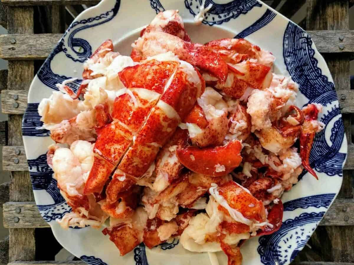 How do you keep lobster meat fresh?