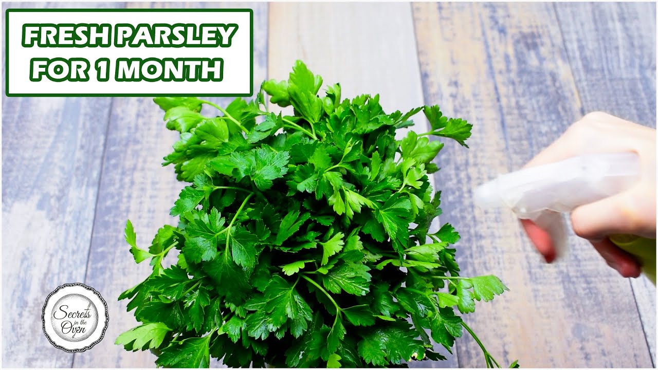 How do you keep parsley fresh after picking?