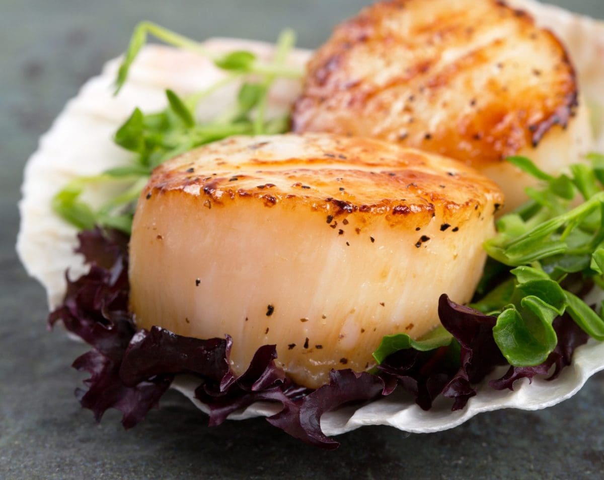 How do you keep scallops from sticking?