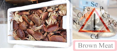 How do you kill a brown crab Cancer pagurus?