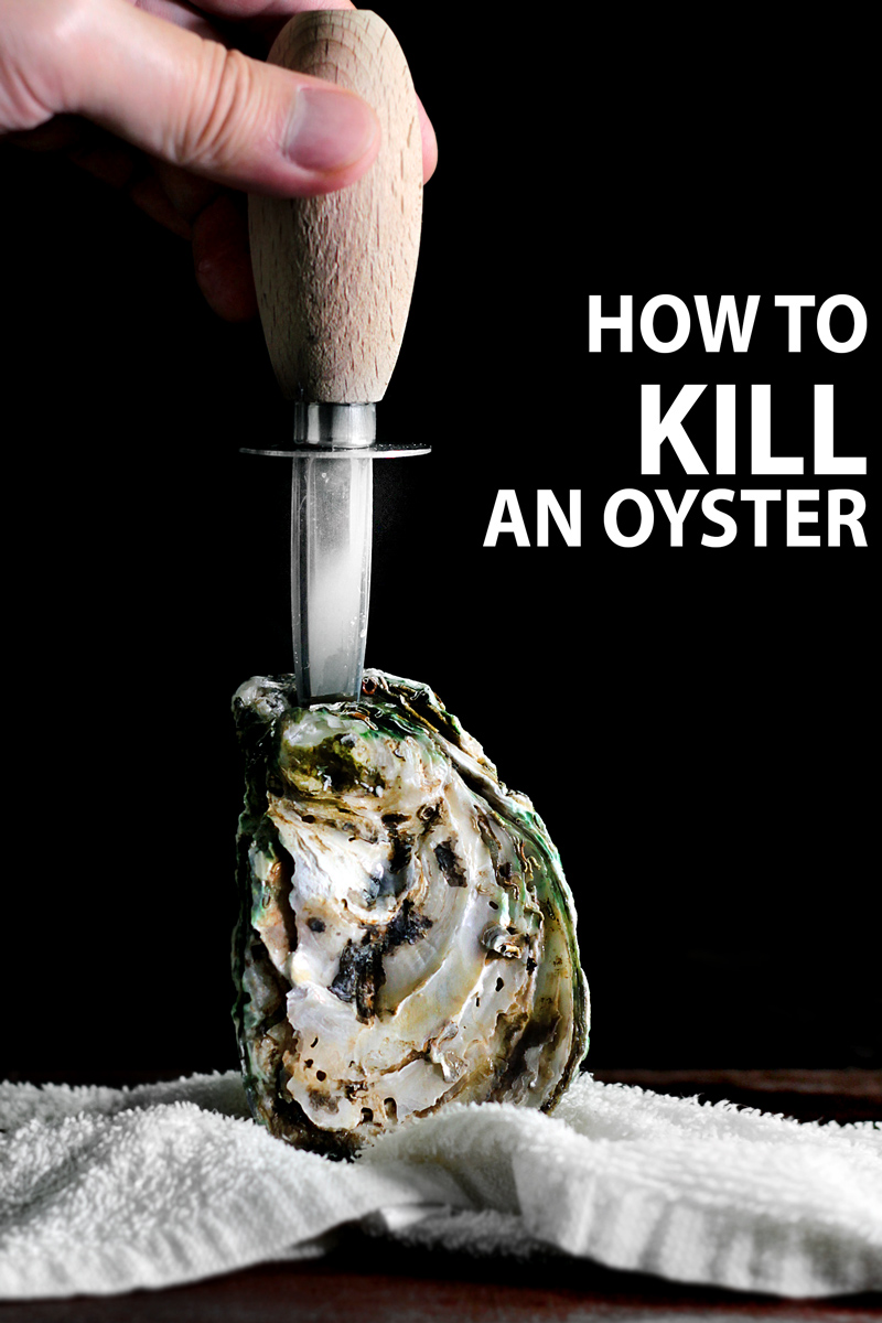 How do you kill an oyster?