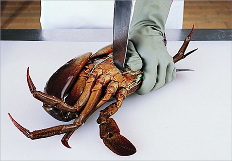 How do you kill crabs ethically?