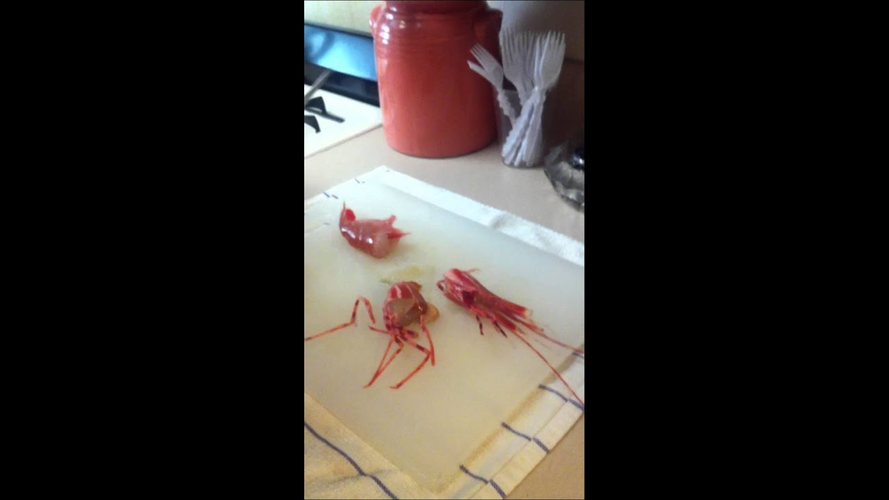 How do you kill live shrimp before cooking?