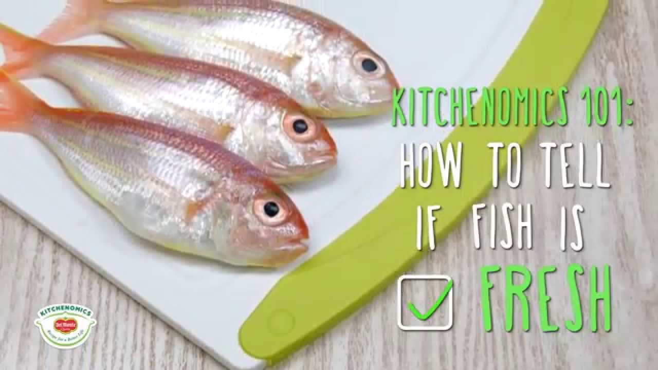 How do you know fish is fresh?