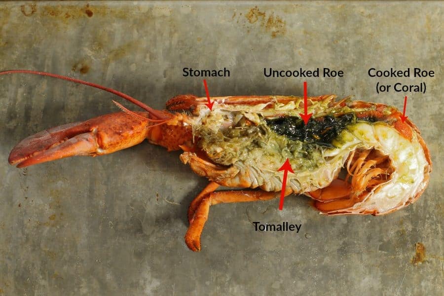 How do you know if a lobster has roe?