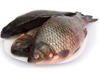 How do you know if fish is edible?