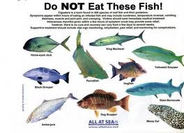 How do you know if fish is not edible?
