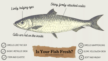 How do you know if fish isn't fresh?