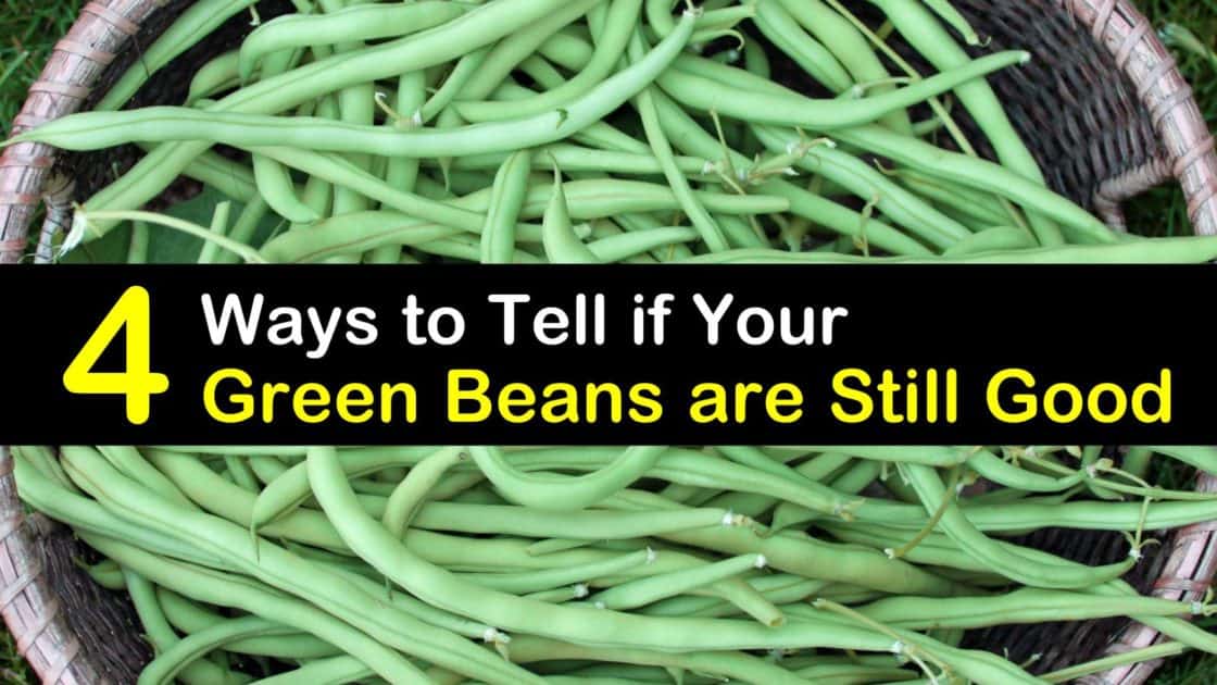 How do you know if green beans are too old?