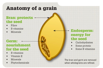 How do you know if something is whole grain?