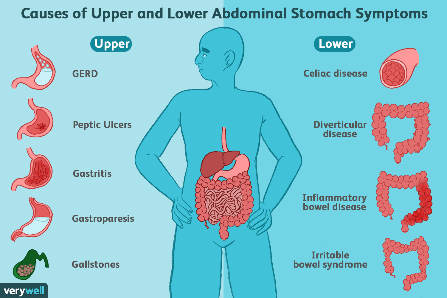 How do you know if something is wrong with your digestive system?