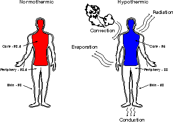 How do you lose body temperature?