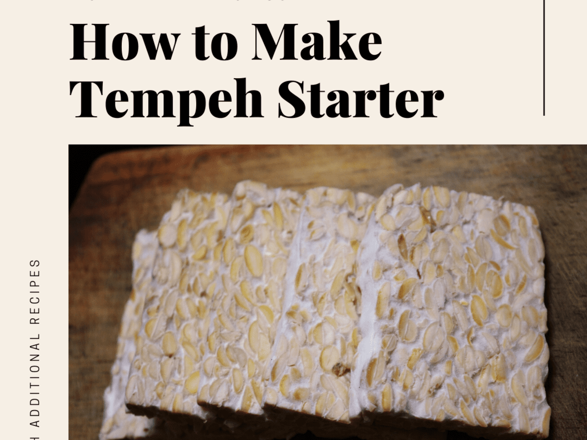 How do you maintain a tempeh starter?