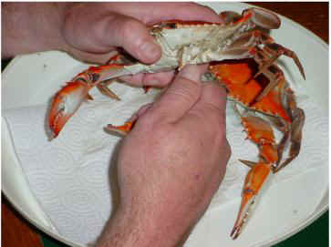 How do you make a crab peel easier?