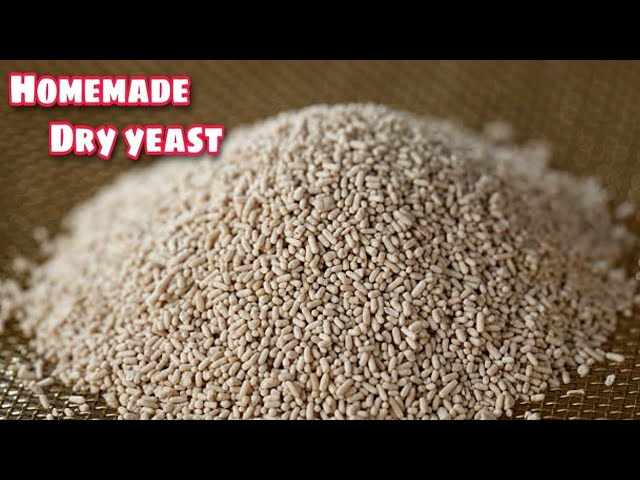How do you make dry yeast?