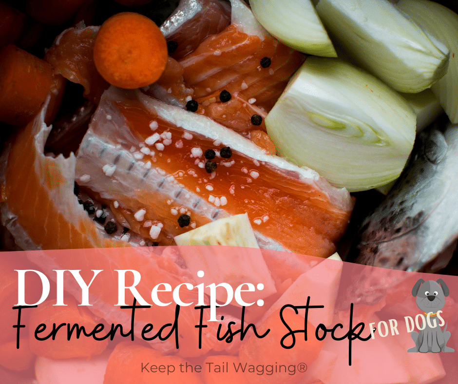 How do you make fermented fish stock for dogs?