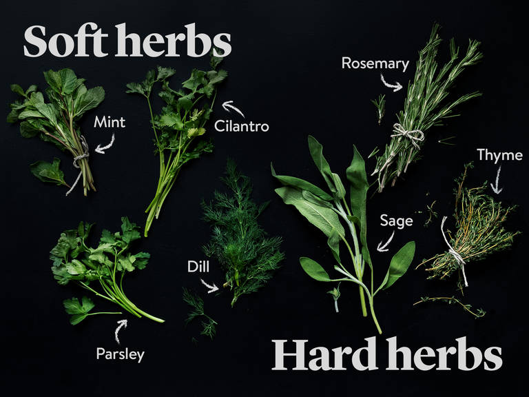 How do you make fresh herbs last longer?